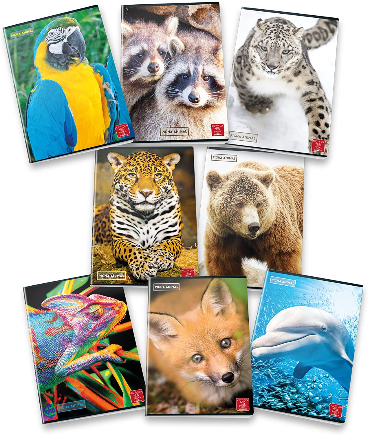 10 immancabili accessori del materiale scolastico - Junglam